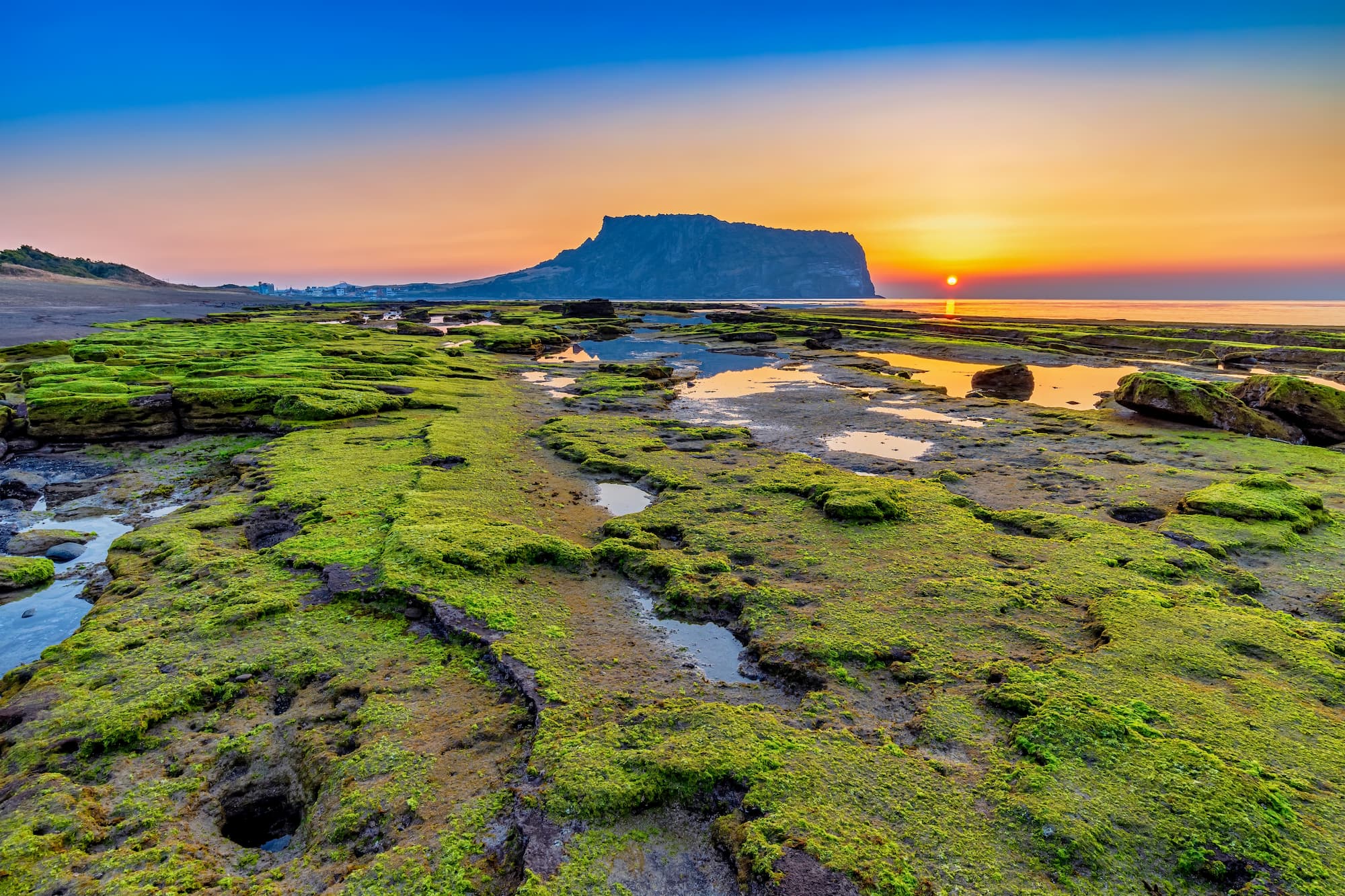 Jeju-øen - Sydkorea rejseguide - Japanspecialist