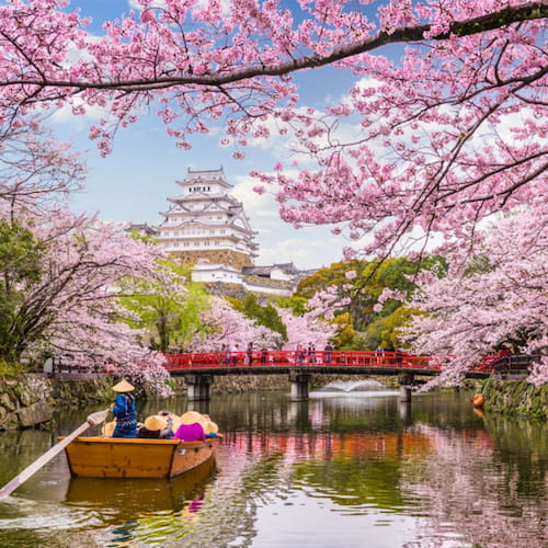 Top 5: de bedste steder i Japan at se kirsebærtræerne blomstre ...